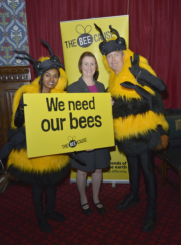 Nia urges fresh start to save our bees – Nia Griffith MP