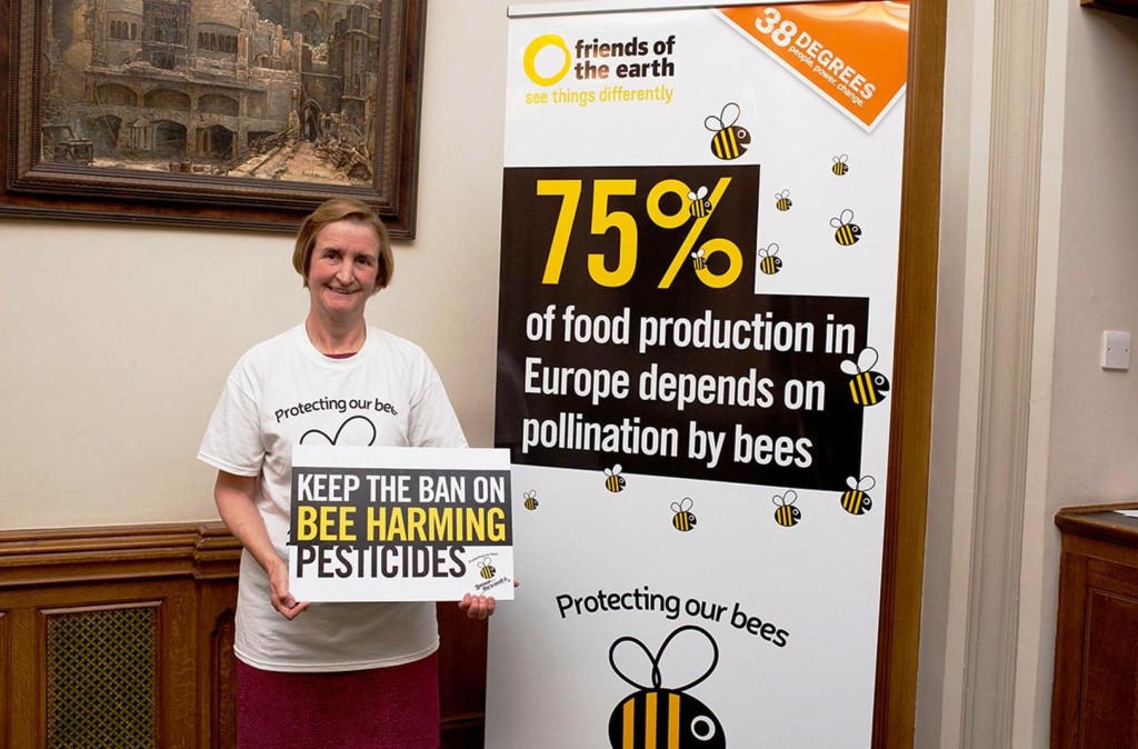Nia supports the ban on bee-harming pesticides – Nia Griffith MP